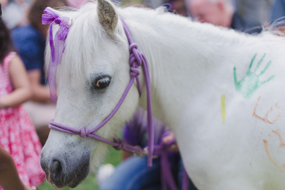 1st Birthday Party & Ponies - Elinlights - Sydney Holiday Photographer